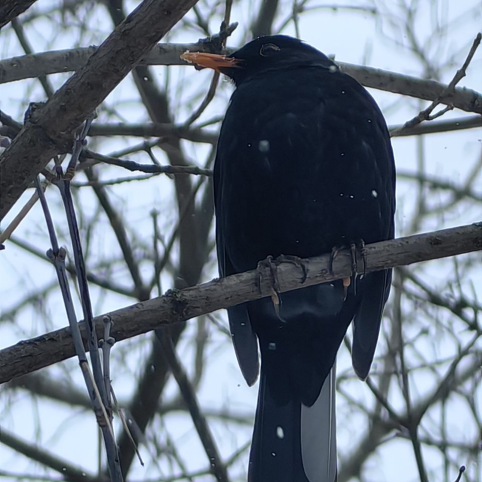 Иконка канала Никита Куц - Природа (Nature)