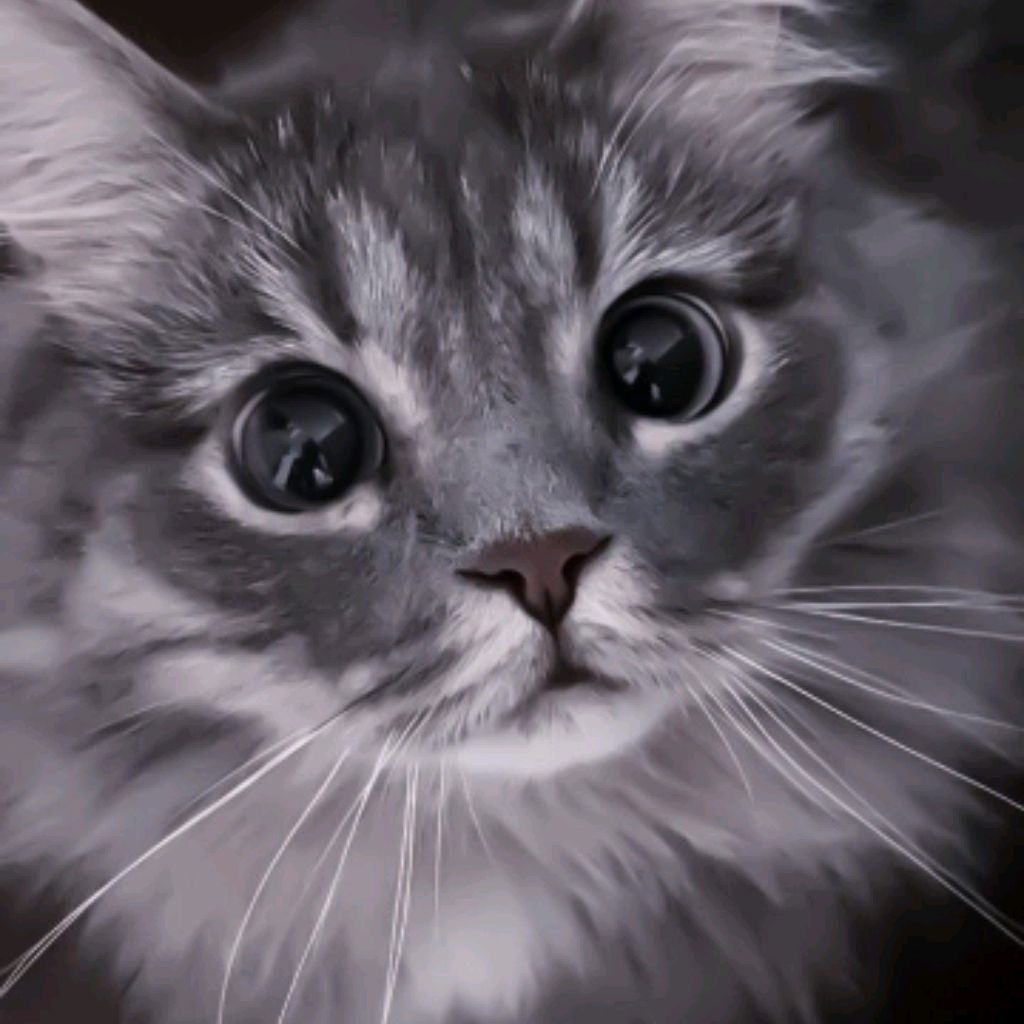 Иконка канала Kristina65k