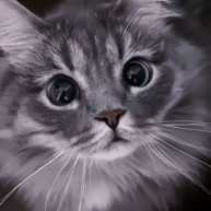 Иконка канала Kristina65k