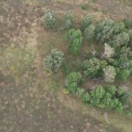 Иконка канала Сергеевские усадьбы