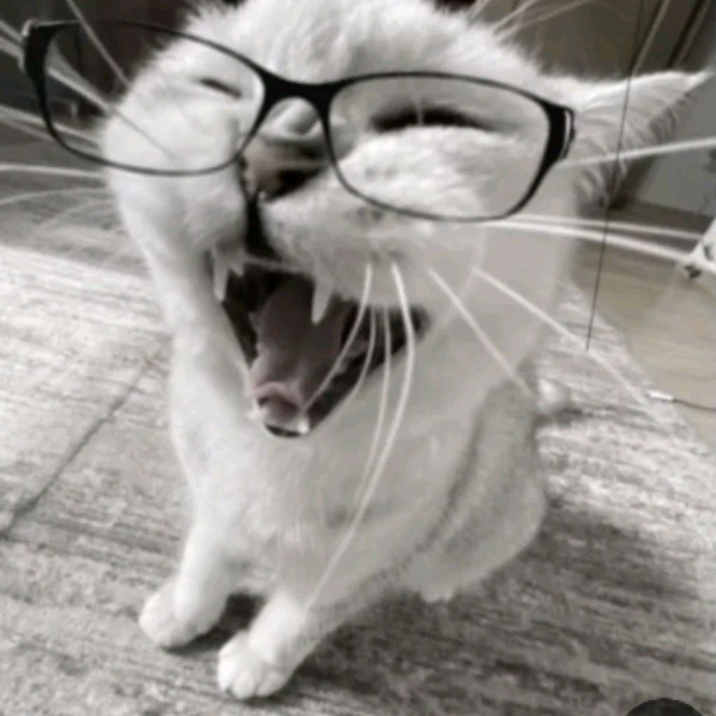 Иконка канала Secret Girls