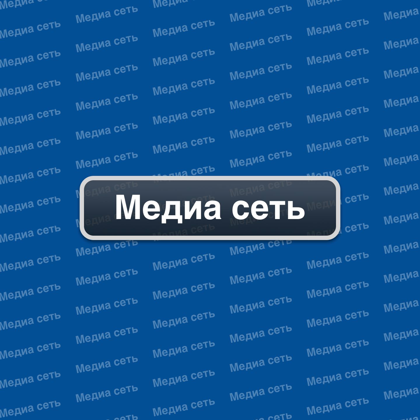 Иконка канала Цифровое Государство
