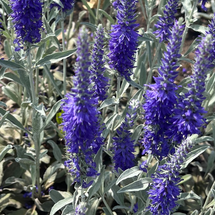 Иконка канала Жизнь со стороны