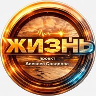 Иконка канала ЖИЗНЬ. Канал Алексея Соколова
