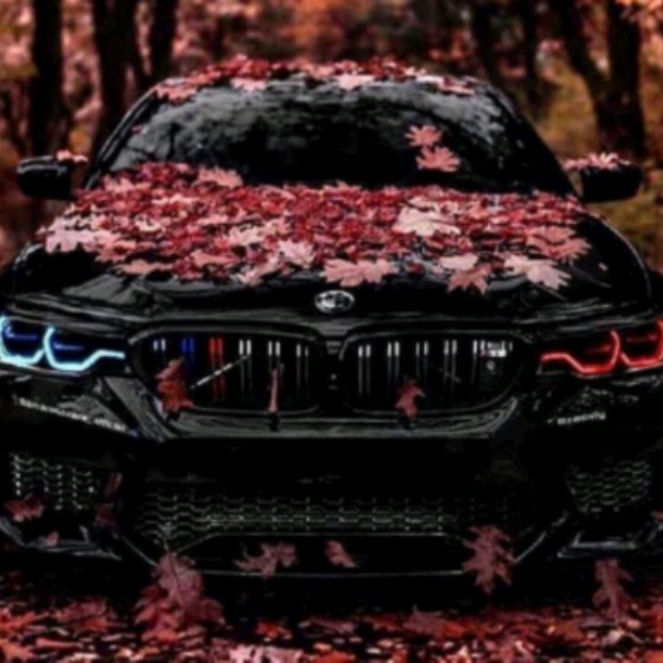 Иконка канала Mr.Sammy