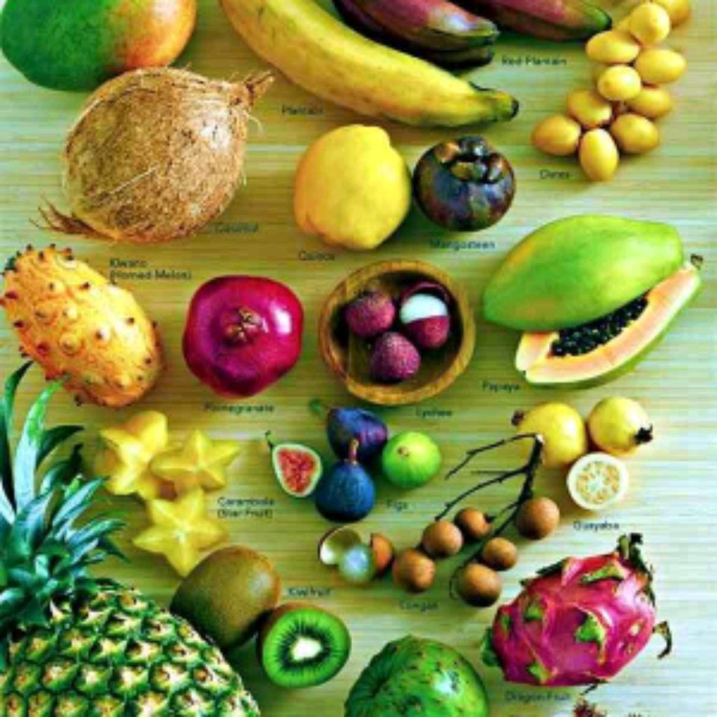 Иконка канала Сады Подмосковья