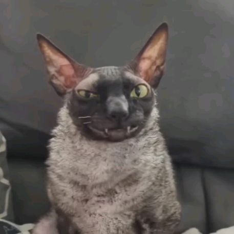 Иконка канала Раф кастрюля