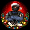 Иконка канала Кроник