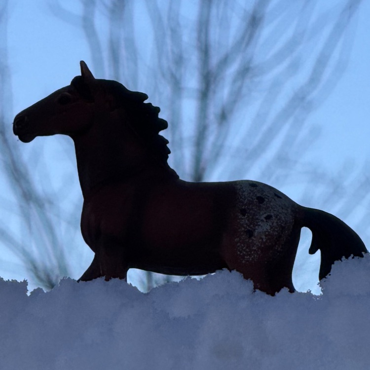 Иконка канала ЛОШАДКИ ШЛЯЙХ И КОЛЛЕКТА