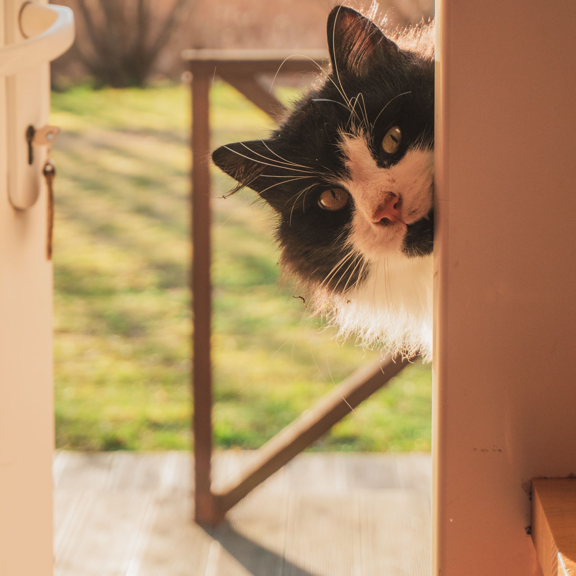 Иконка канала Дом Рыболова 39