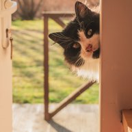 Иконка канала Дом Рыболова 39