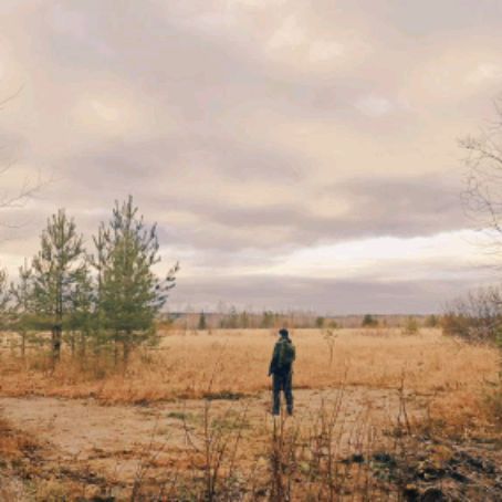 Иконка канала Таёжные - Жизнь в Лесу!