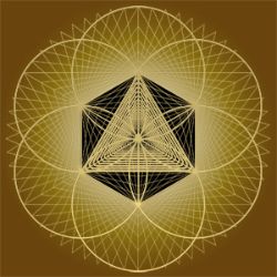 Иконка канала Archi5D