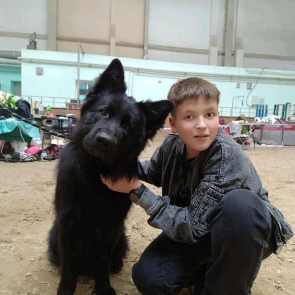 Иконка канала Максим