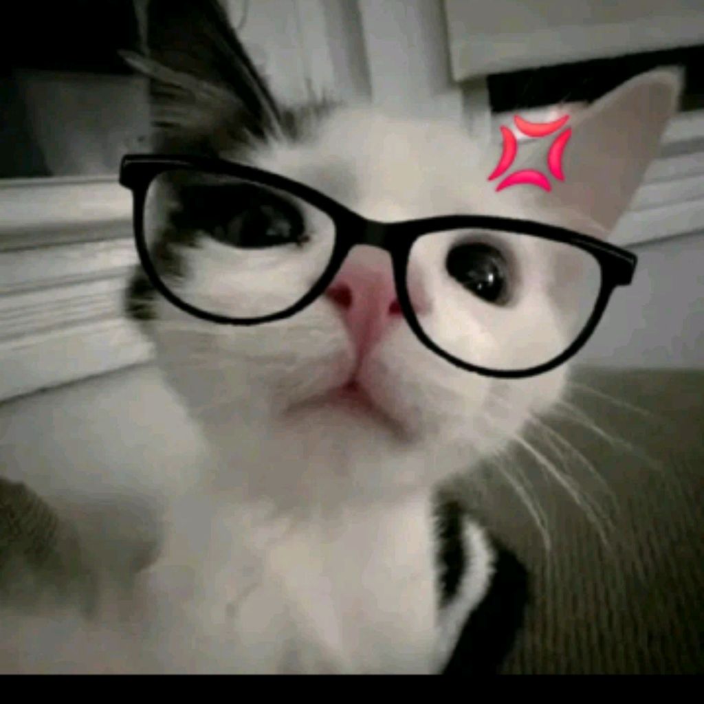 Иконка канала Абдурахмед_fox