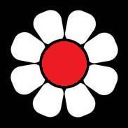 Иконка канала Romashi4