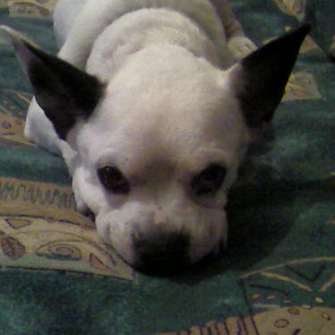 Иконка канала Арт-77