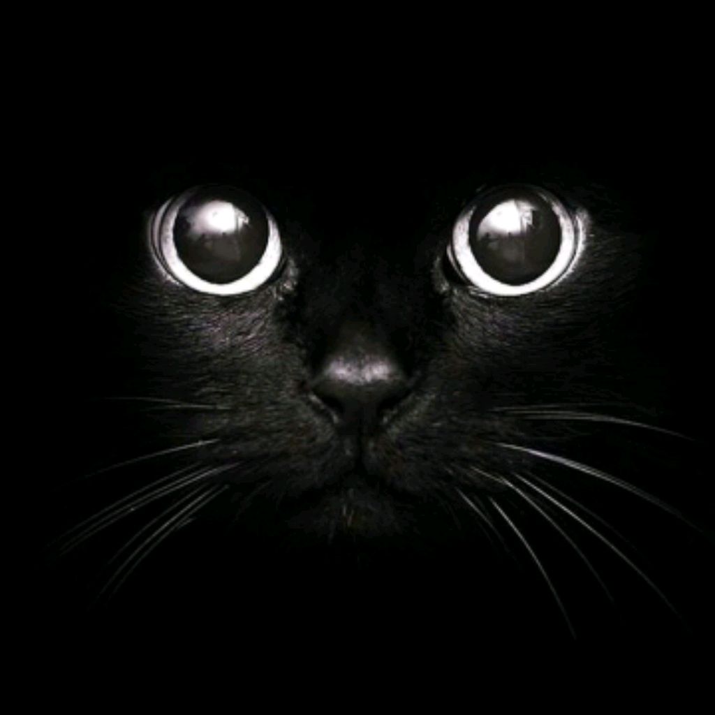 Иконка канала Адам