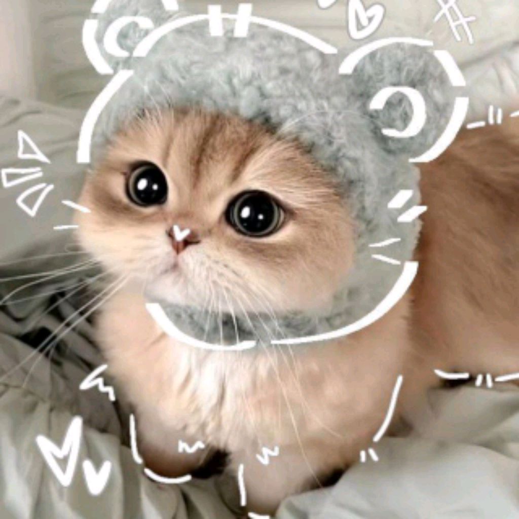 Иконка канала 🥹 P𝕒𝕣𝕚𝕥🌸 𝕥𝕠𝕔𝕒 𝕝𝕠𝕧𝕖 🥥