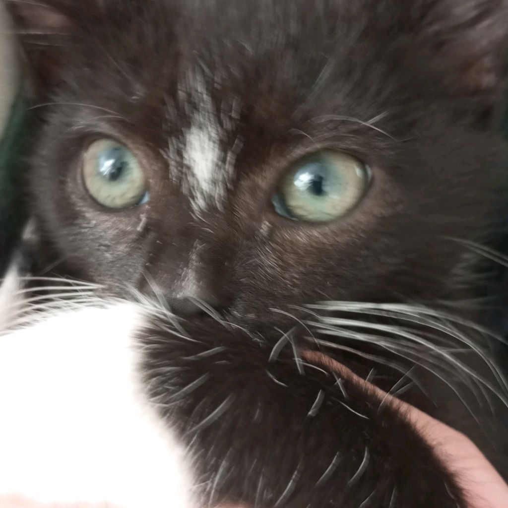 Иконка канала RoмаnesКО DelaeТ ВСЕ