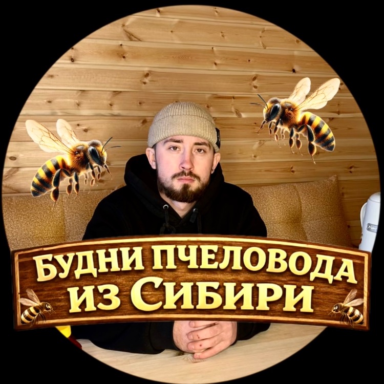 Иконка канала Будни пчеловода из Сибири