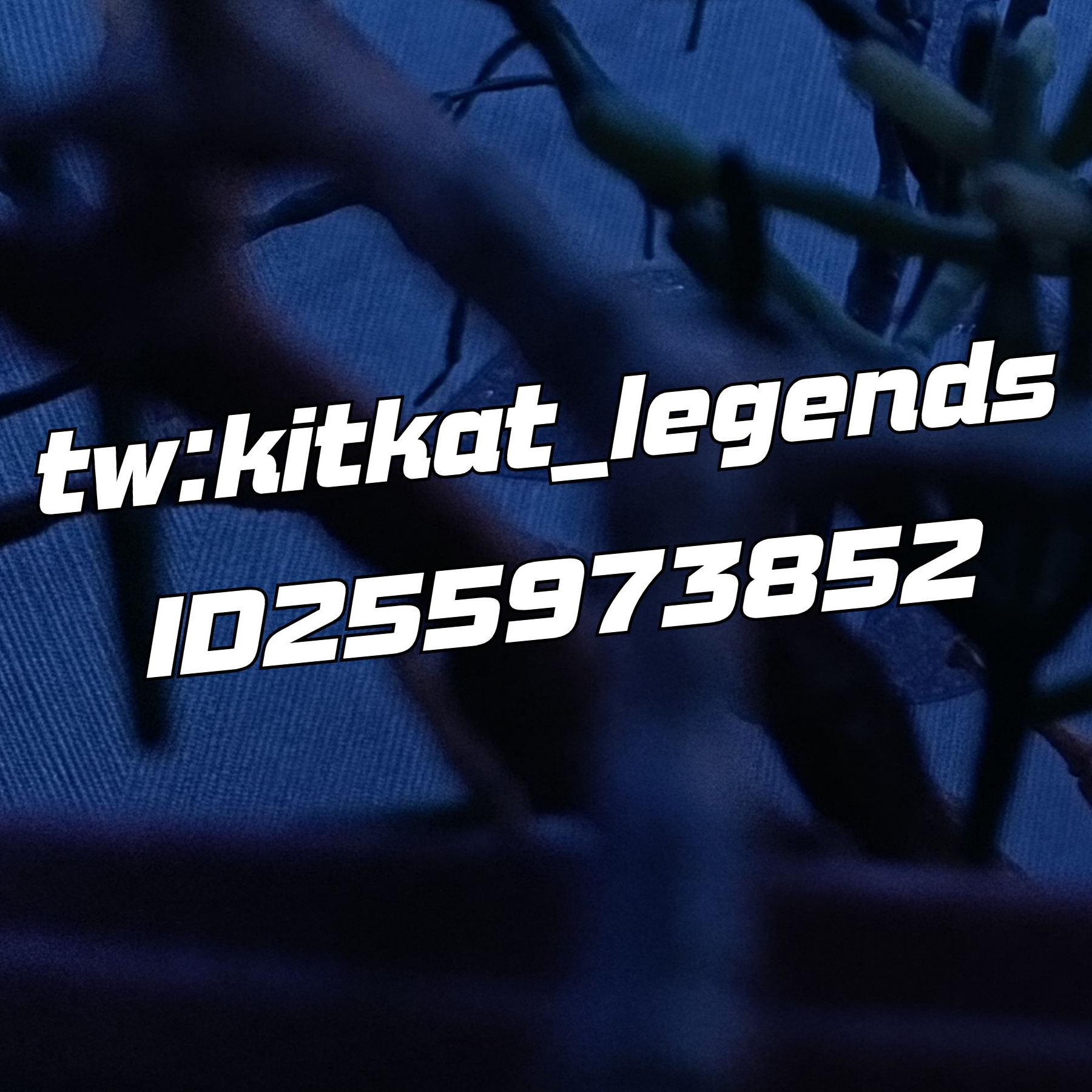 Иконка канала tw:k1tkat_legend