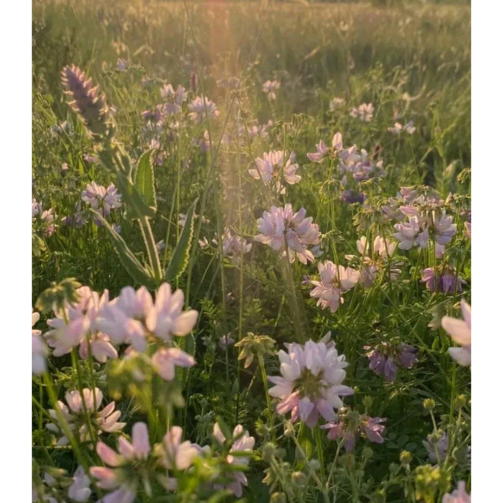 Иконка канала Sasha стори