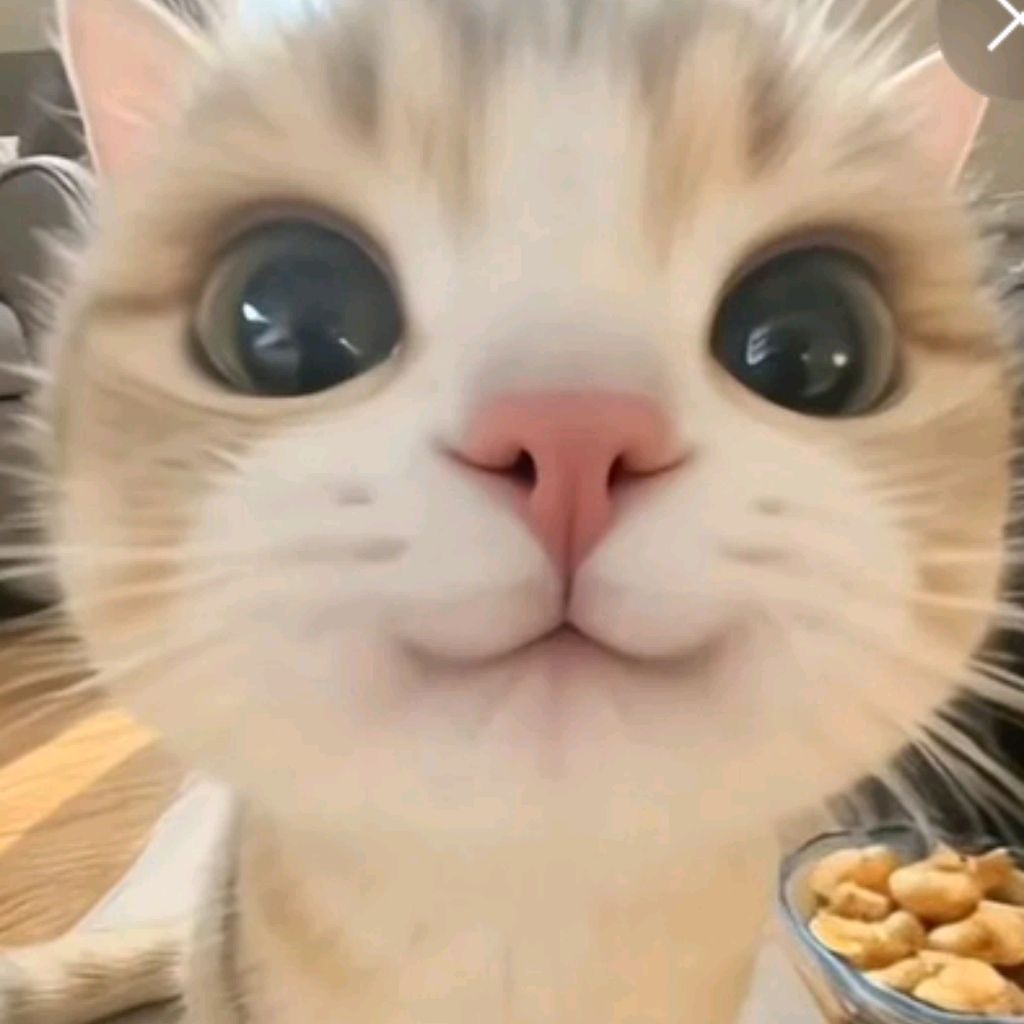 Иконка канала ❤❣️❤