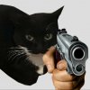 Иконка канала Legendary коты Максвеллы