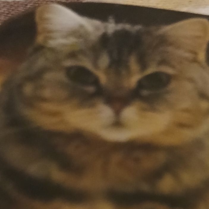 Иконка канала Димоции