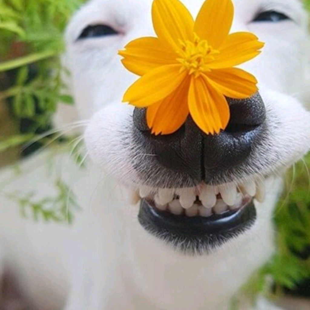 Иконка канала Восстановление