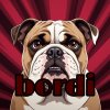 Иконка канала bordi.tv
