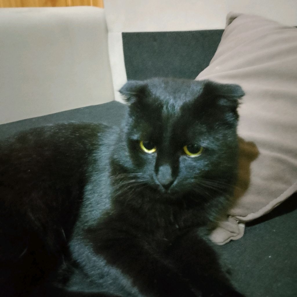 Иконка канала Nikita Suslov