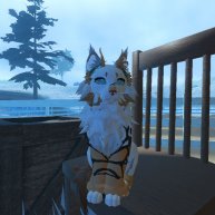 Иконка канала Белохвостая Звезда WCUE ✨ (ℂ𝕒𝕾𝖎𝖒)