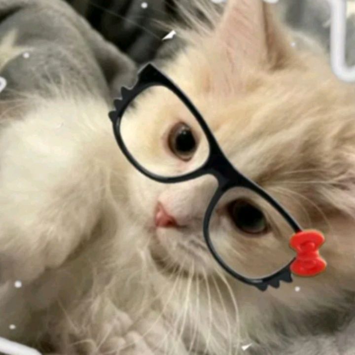 Иконка канала channel75369569