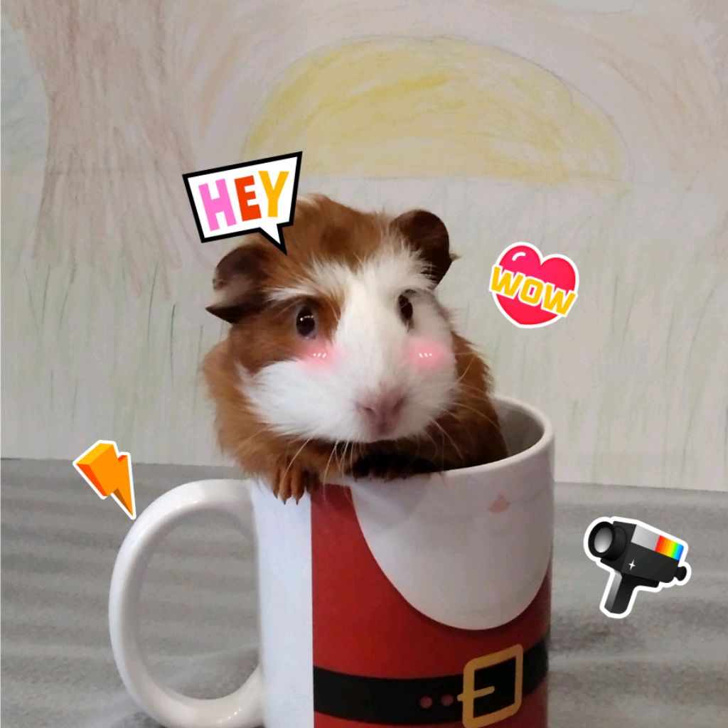 Иконка канала Свинка Ася