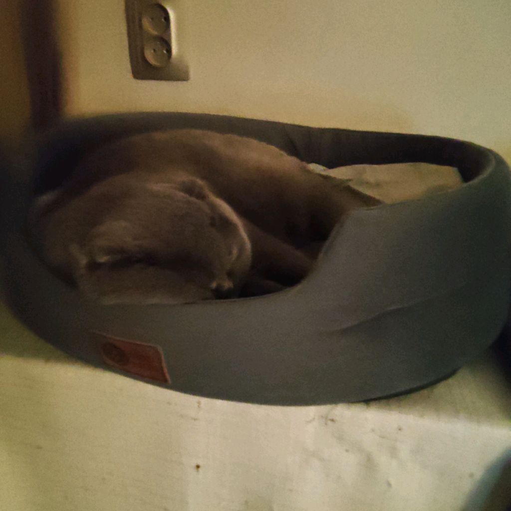 Иконка канала Крутая детвора