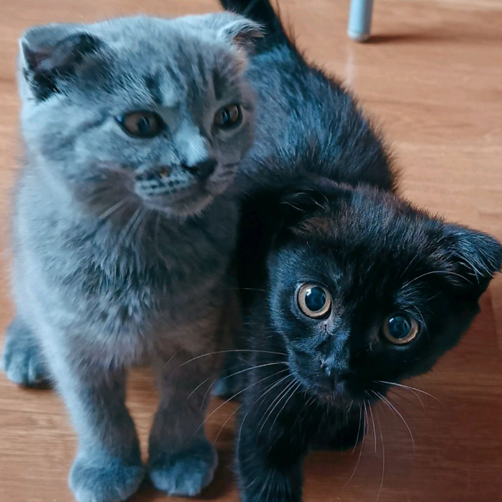 Иконка канала channel45640053