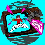 Иконка канала Shamilin Gaming