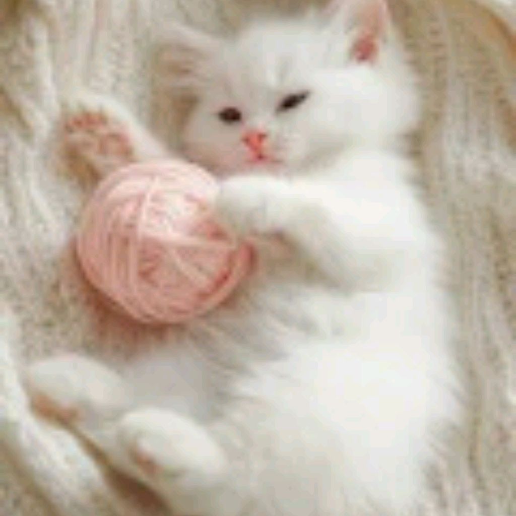 Иконка канала ЯККАЯК