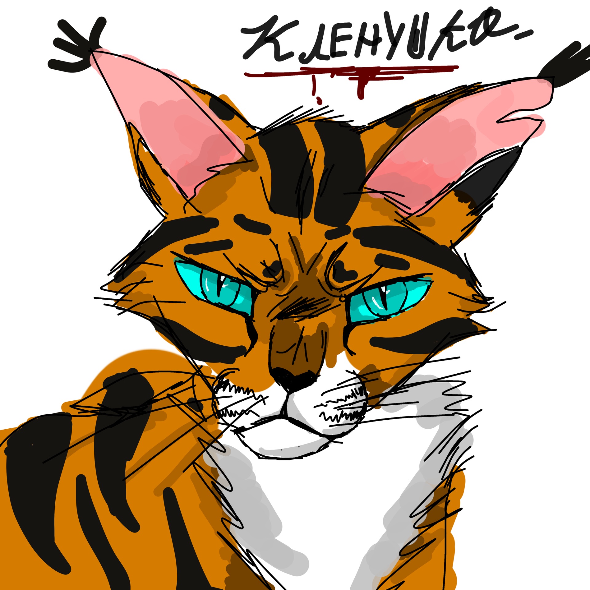 Иконка канала Настя зайчик