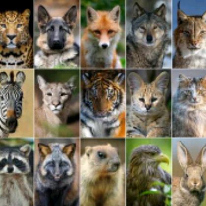 Иконка канала Зоология