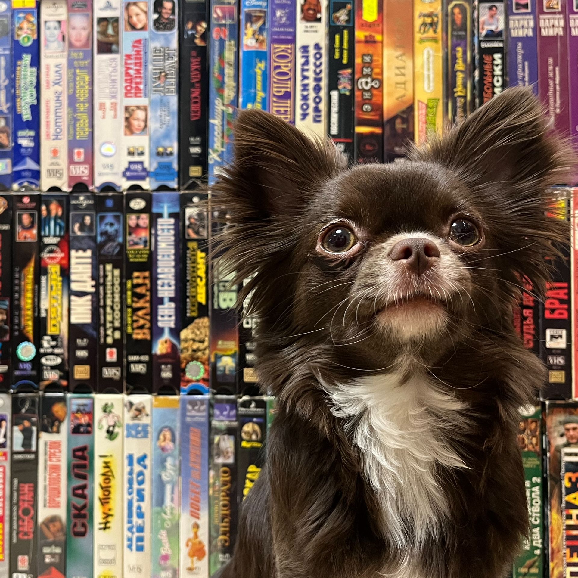 Иконка канала artbara