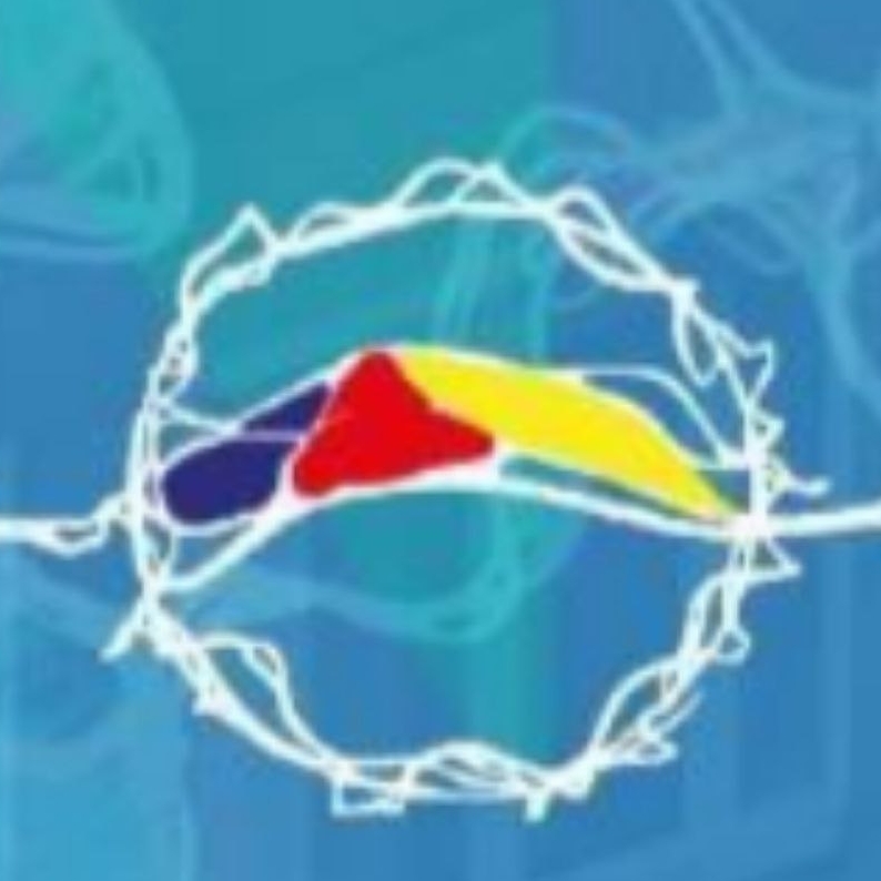 Иконка канала НейроГрафика с Анной Босых