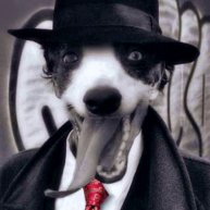 Иконка канала papamoski