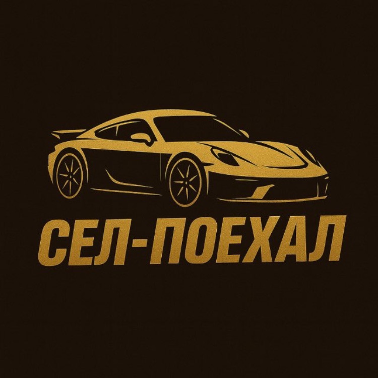 Иконка канала Сел-Поехал