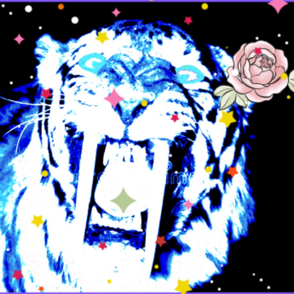 Иконка канала 🌛🌚ZzKirami2zZ🔥🔥🐯 СИНЯЯ ЗВЕЗДА 🌟