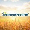 Иконка канала Ленинскагроснаб
