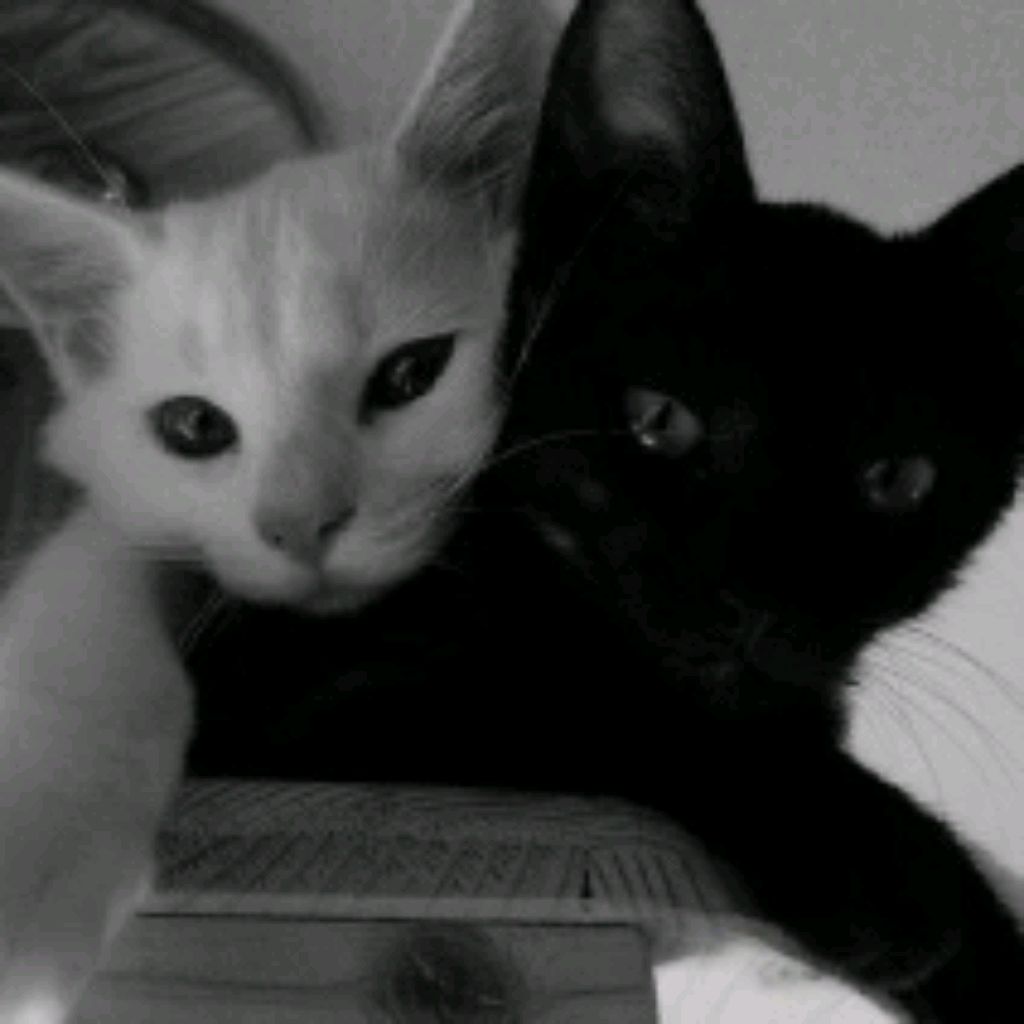 Иконка канала number_five 05