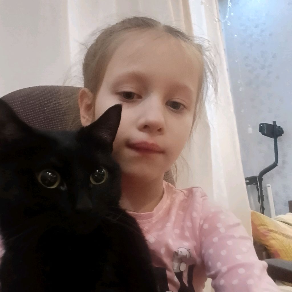 Иконка канала Ося